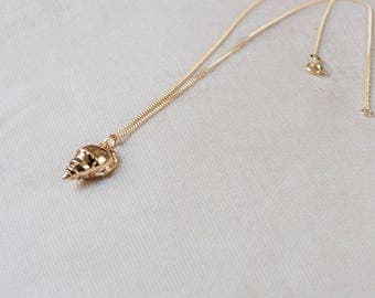 Gold shell necklace tiny shell necklace sea shell necklace