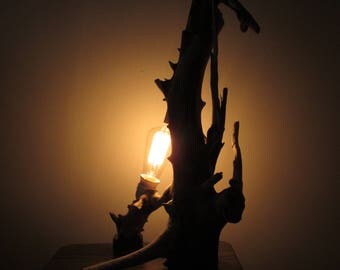 Tree root lamps | Etsy