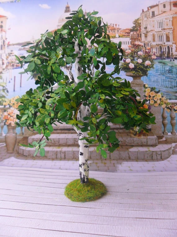 Birch. Tree for garden. Dollhouse Landscape. Miniature