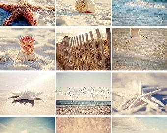 Unique wall art seashell related items | Etsy