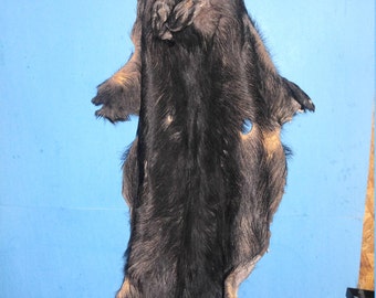 Wild boar hide | Etsy