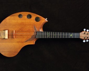 5 String unique acoustic handmade musical instrument