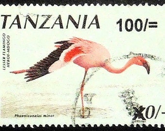 Flamingo stamp | Etsy