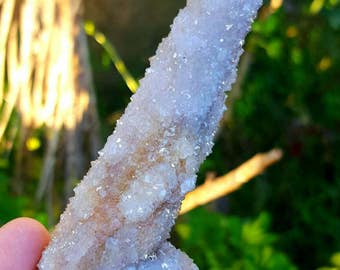 Witches finger | Etsy