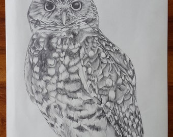 Buho de dibujo | Etsy