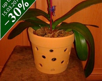 Clay orchid pot | Etsy