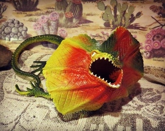 Frilled lizard | Etsy