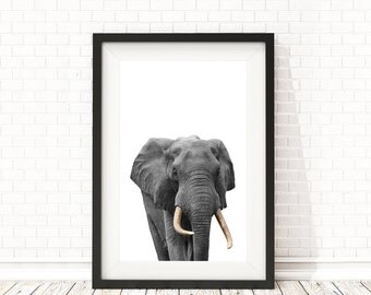 Elephant poster | Etsy