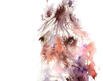 Jen Buckley Art. limited edition animal art by JenBuckleyArt