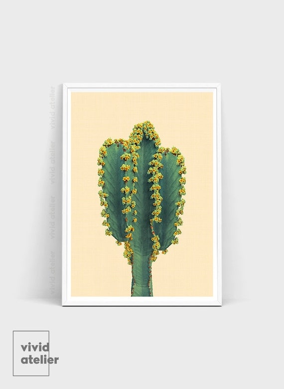Cacti Print Cactus Print Printable Poster by VividAtelier on Etsy