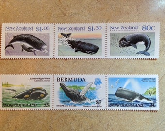 Whale rubber stamp | Etsy