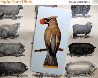 Color flash cards | Etsy