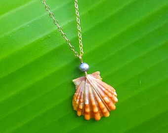 Sunrise shell | Etsy