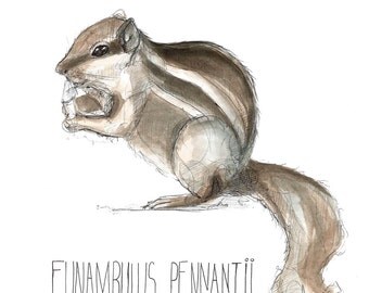 Squirrel drawing | Etsy