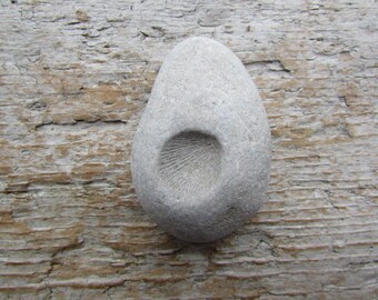 Shell knob | Etsy