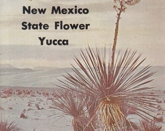 Yucca plant | Etsy