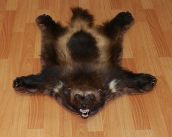 Wolverine pelt | Etsy