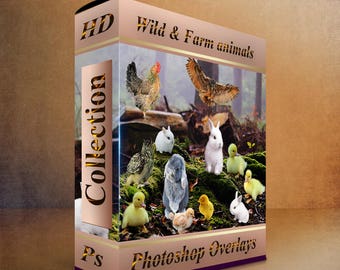 Animal overlays | Etsy