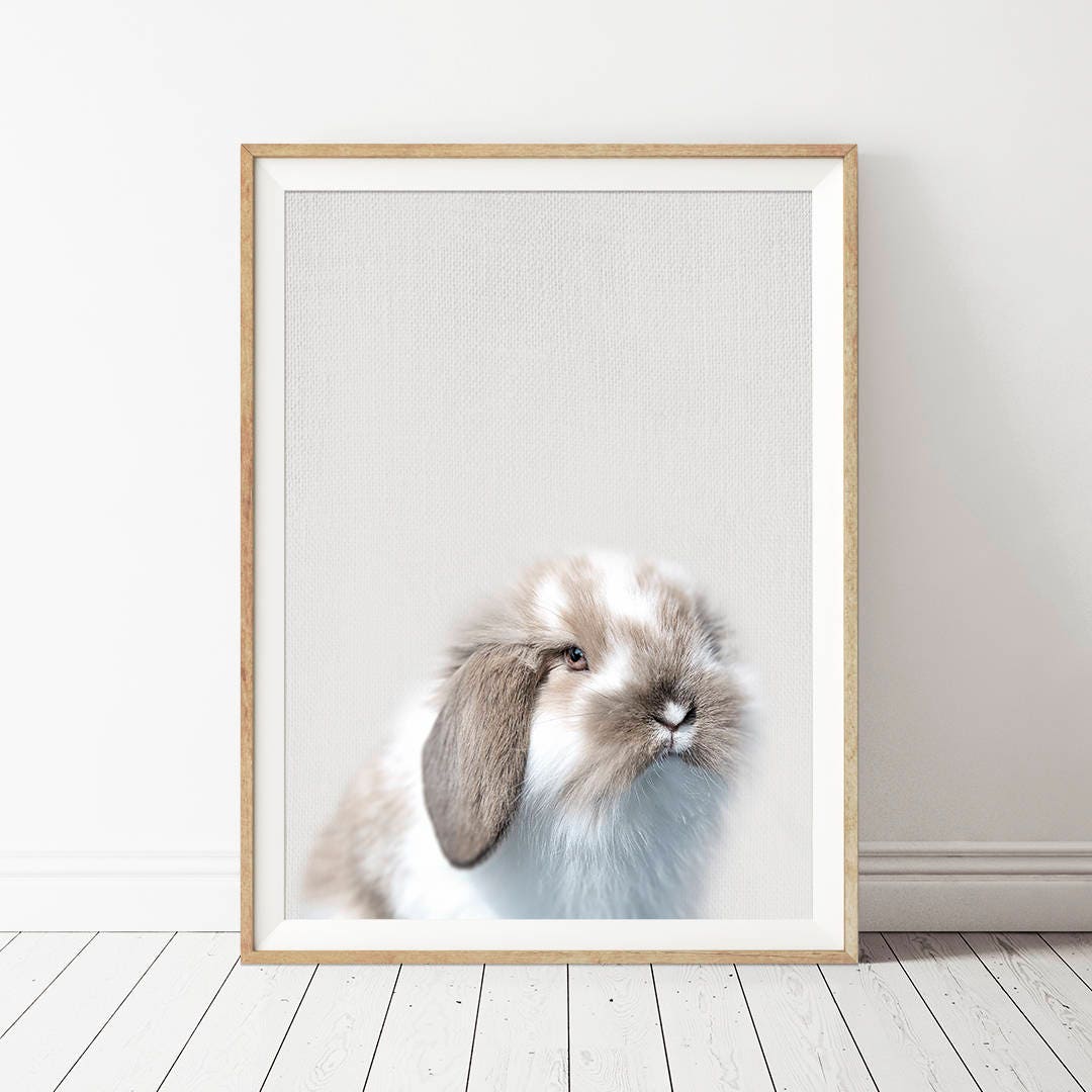Printable Rabbit Art Baby Rabbit Print Nursery Bunny Print