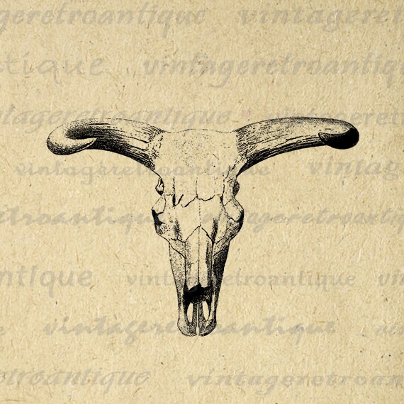 Printable Graphic Western Cow Skull by VintageRetroAntique on Etsy