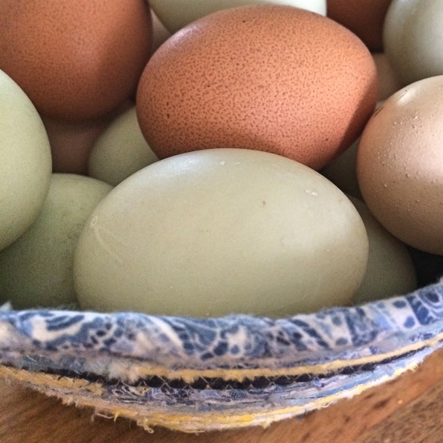 1840 Farm Mercantile Shop on Etsy by 1840Farm on Etsy