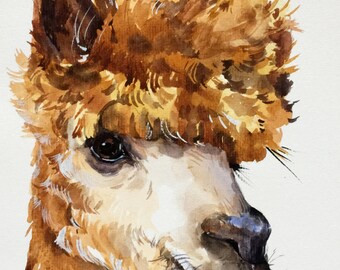 Alpaca watercolor | Etsy