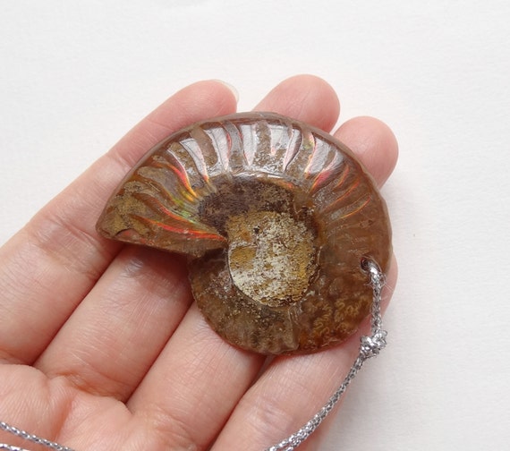 Ammonite Ammolite Fossilized Shell Pendant with Drilled Hole