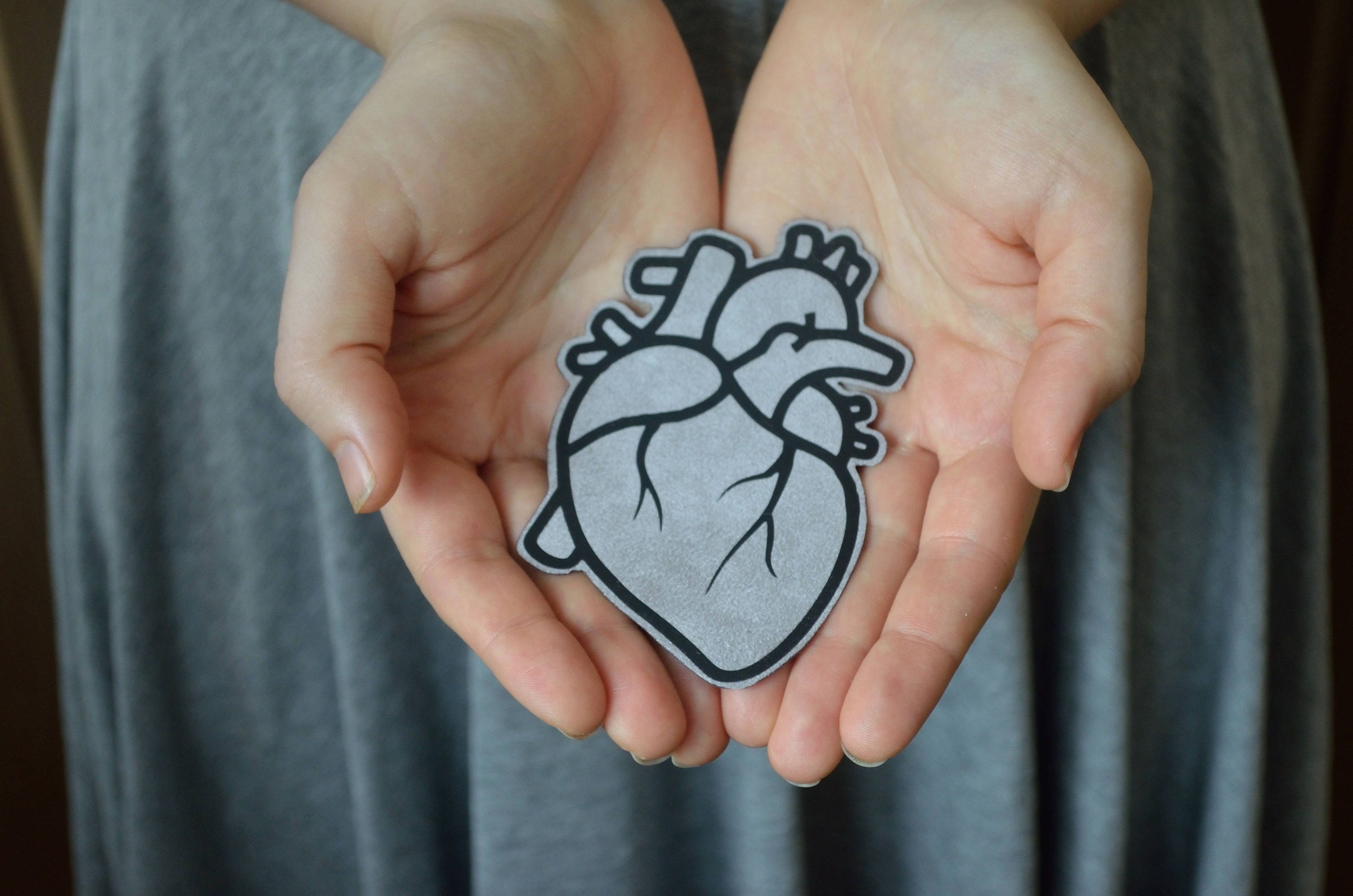 anatomical heart patch iron on patches medical student gift