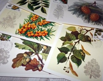 Vintage postcard set | Etsy