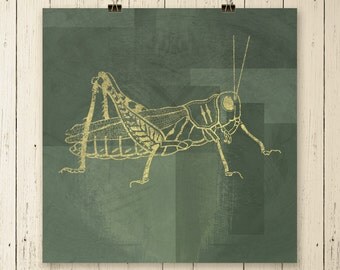 Grasshopper decor | Etsy