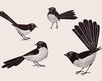 Willie wagtail | Etsy