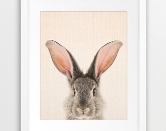 Bunny print | Etsy