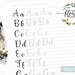 Learn calligraphy brush alphabet Hand lettering guide Brush