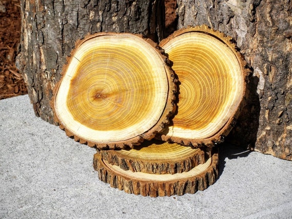 Personalized Coasters Wood Coasters Tree Coasters Custom