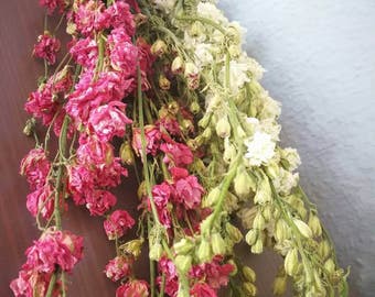 Larkspur bouquet | Etsy