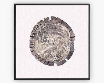 Tree ring art print | Etsy