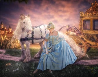 Cinderella backdrop | Etsy