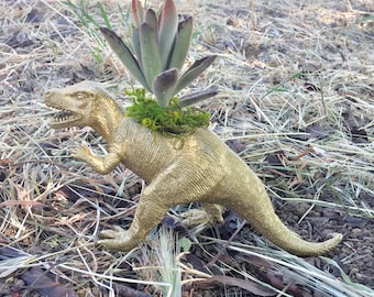 Mac the PLANTED T-Rex the Original Toy Planter