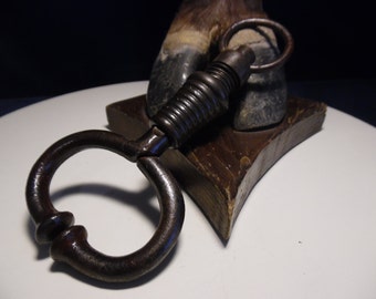 Antique veterinary | Etsy