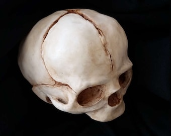 Skull real size resin fetus skull natural bone color Goth