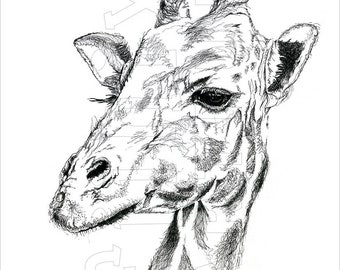 Items similar to Giraffe Ink Drawing Notecards Set of Two on Etsy