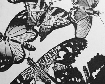 Items similar to Tropical Checkered Skipper Art Print Illustration For ...