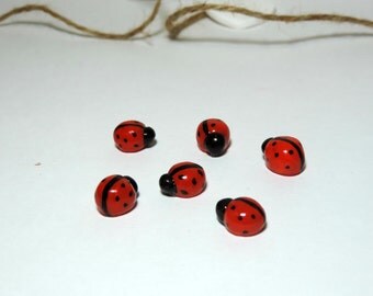 Ladybug terrarium | Etsy