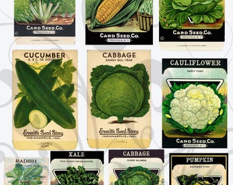 Seed packet template | Etsy