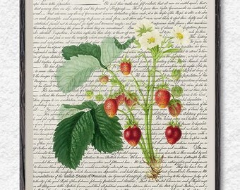 Strawberry botanical | Etsy