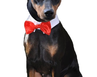 Dogs in top hats | Etsy