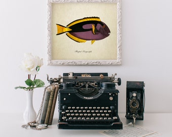 Botanical prints | Etsy