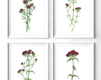 Botanical watercolor | Etsy