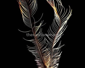 Feather art print | Etsy