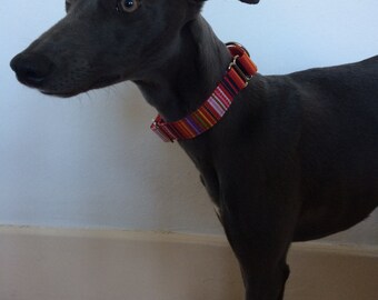 Italian greyhounds | Etsy